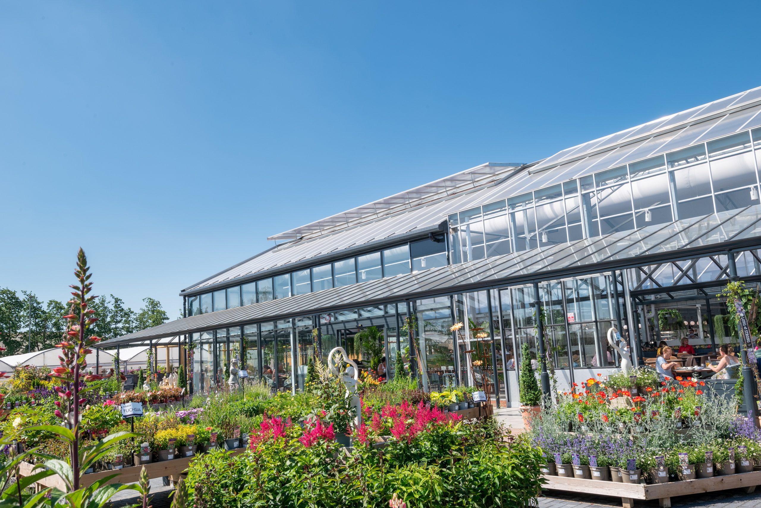 Beckworth Mansion California at Angela Milligan blog